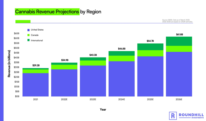 How to Invest in Cannabis: The Complete Beginners Guide
